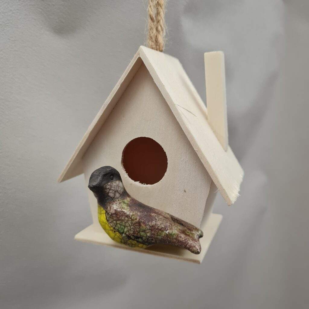 Mésange mini devant son nichoir